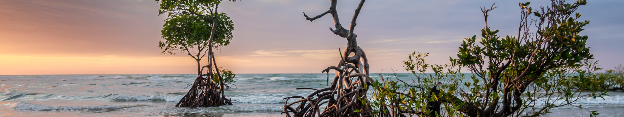 Research - NESP 2 climate