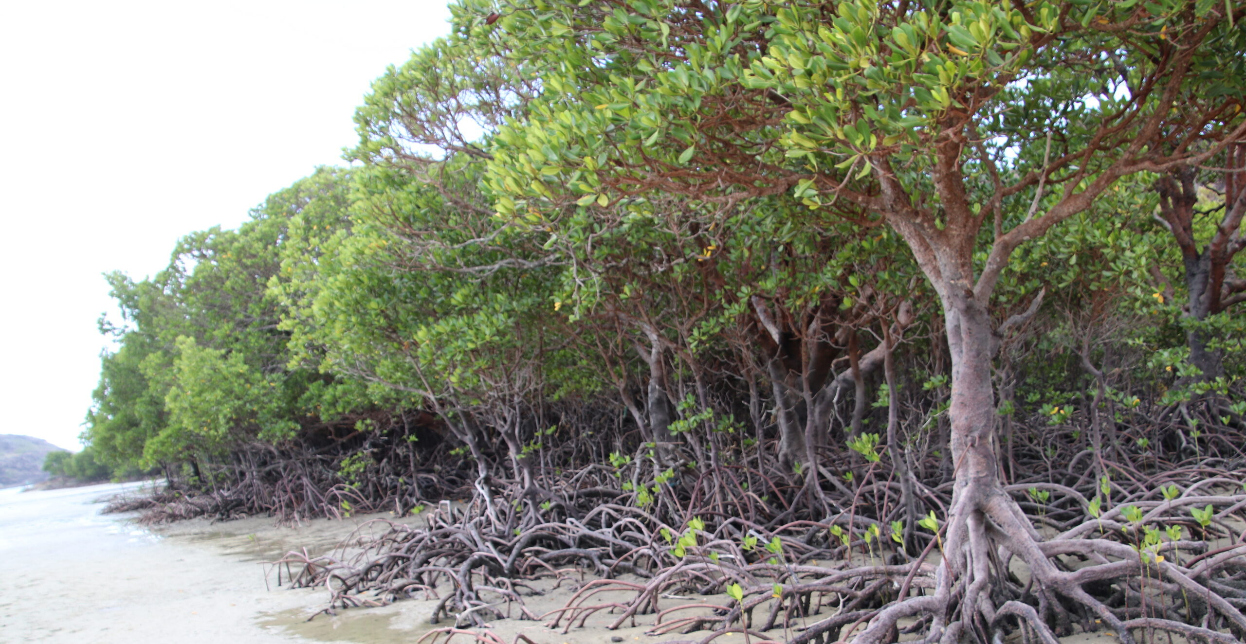 New research warns of increasing climate risk to Northern Australia's ...