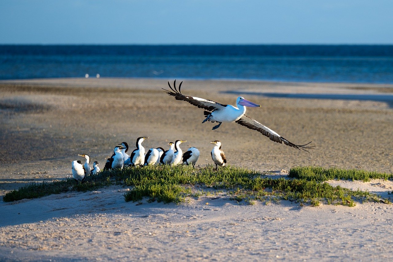 Adapt Land&Sea: Developing a climate adaptation knowledge platform for ...