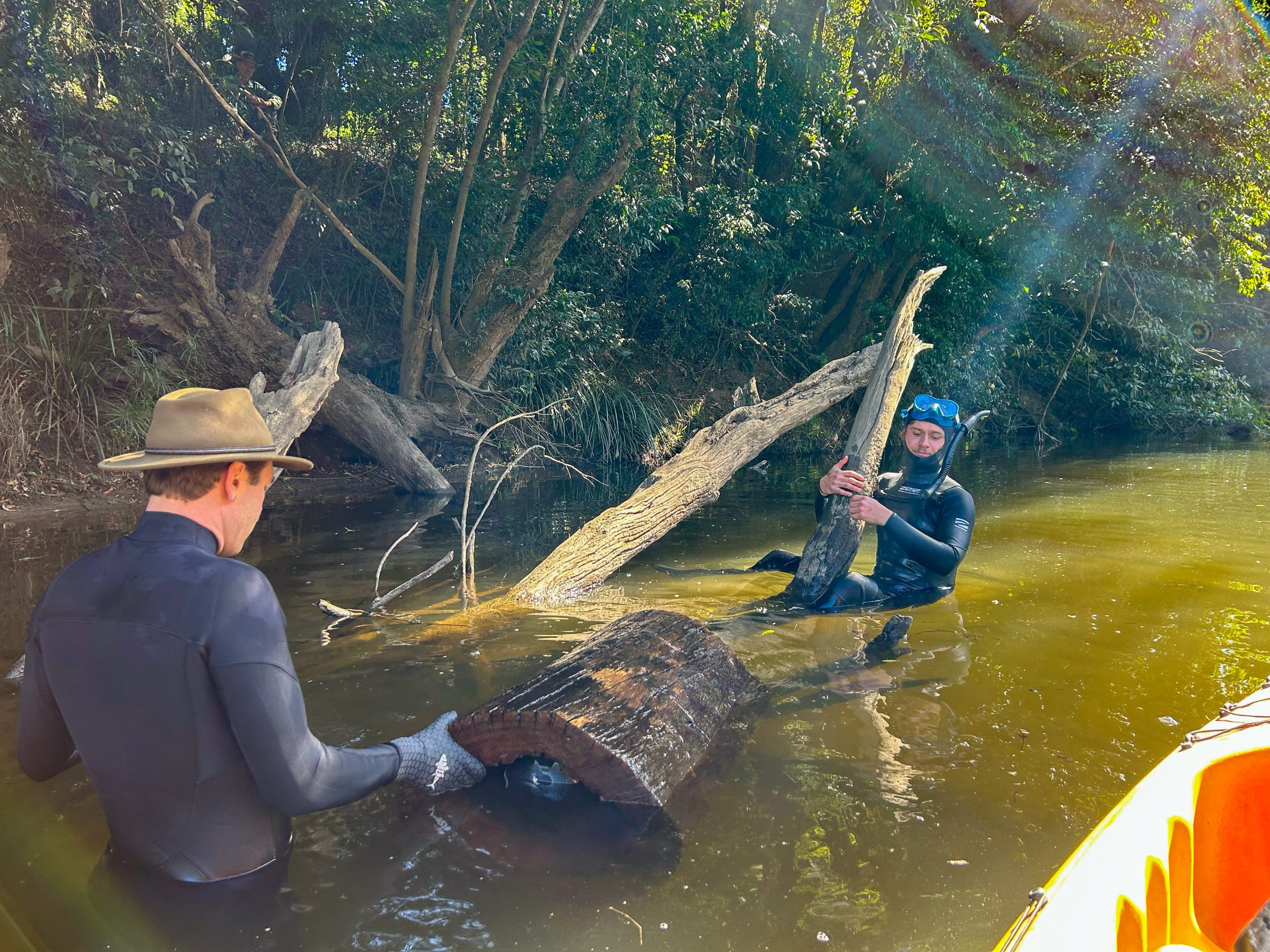 From cod logs to frog bogs: we catalogued 400 ways to help species ...